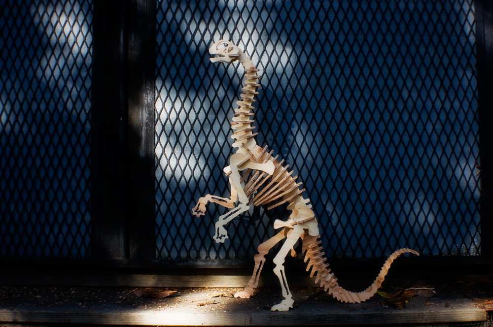 Dinosaurs!! | Sawdust Shack